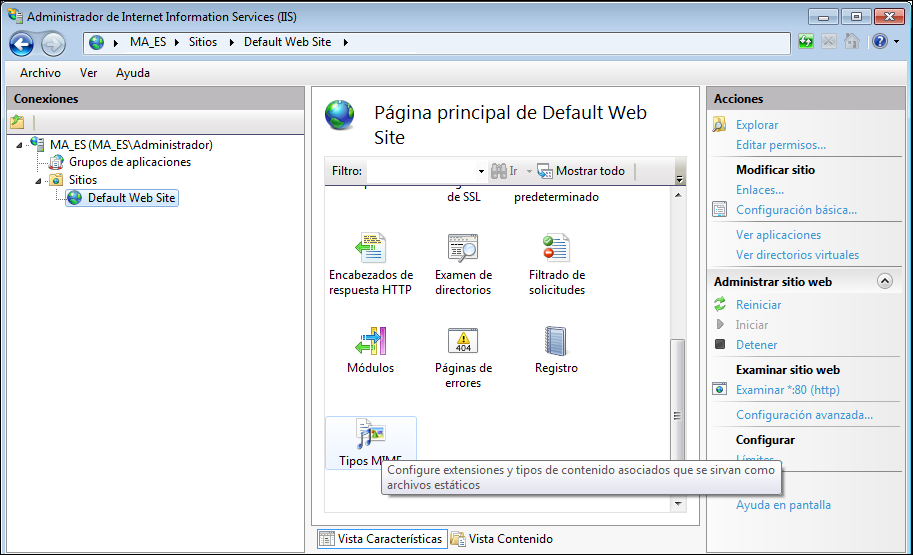 Altova Authentic 2023 Browser Edition