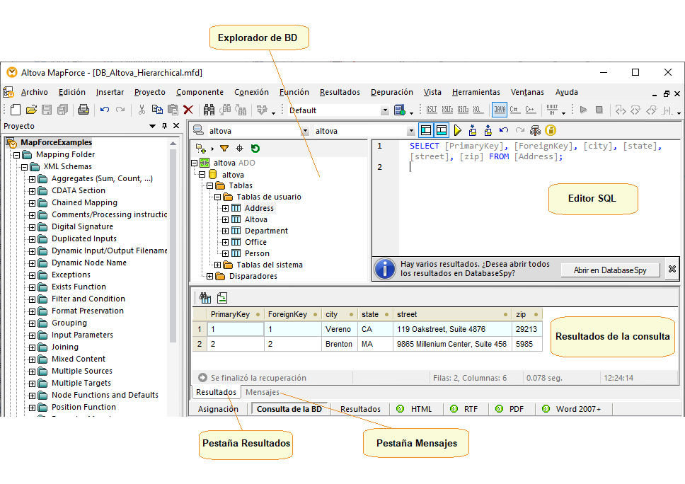 Altova MapForce 2025 Enterprise Edition